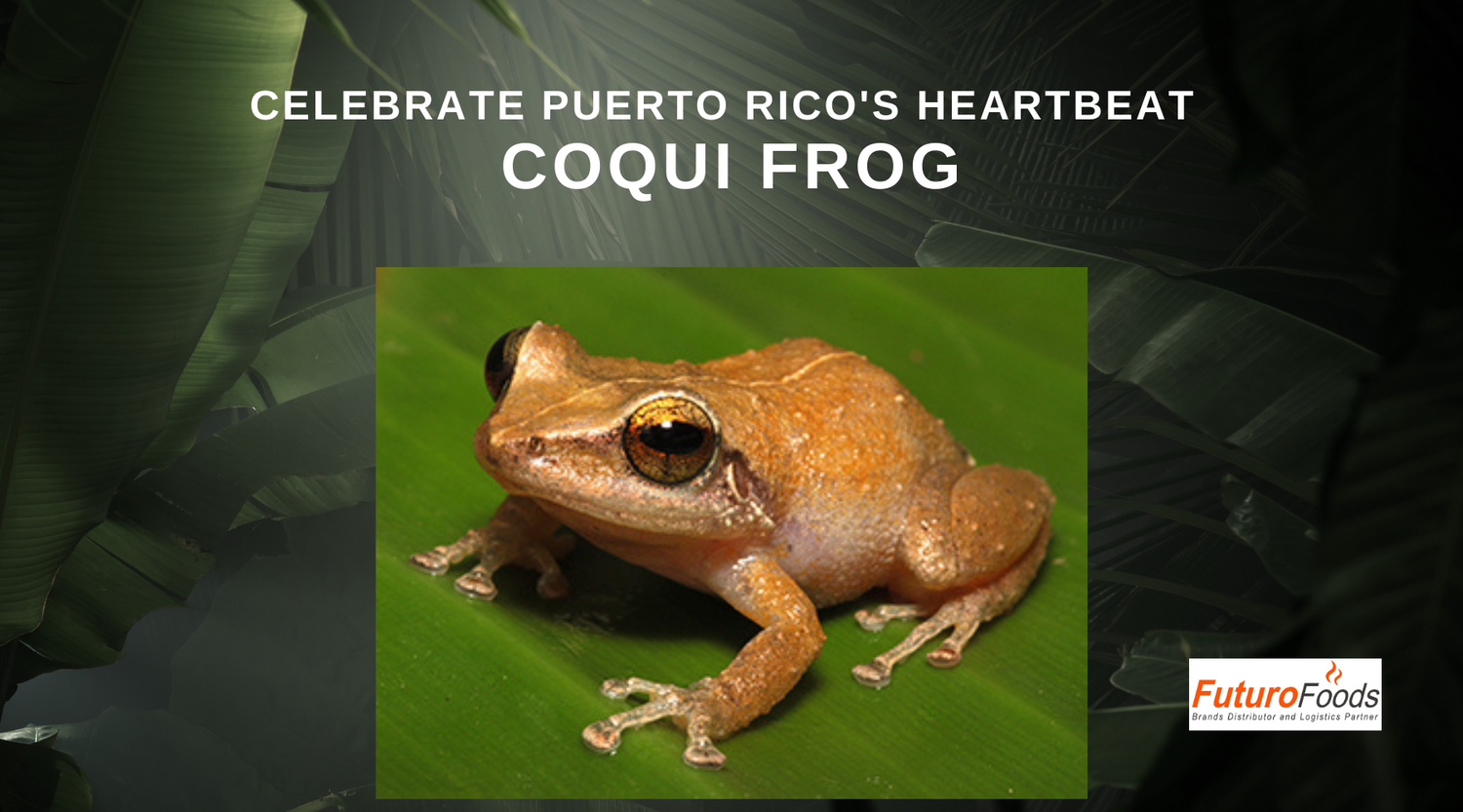 Unveiling Our Coquí Collection: Celebrate Puerto Rico's Iconic Frog wi ...
